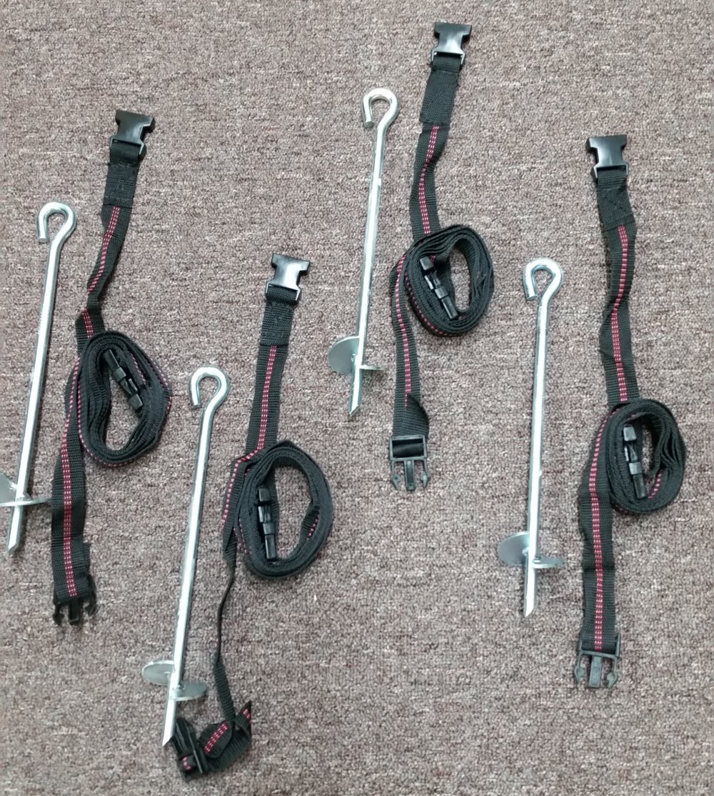 Family Store Network Discount Code - 12% Off | Mammoth Nation