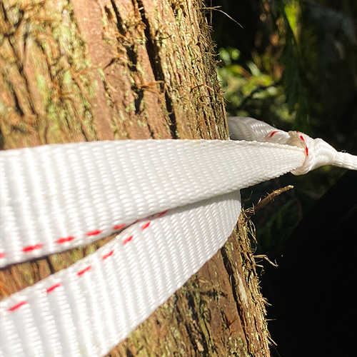 Redback Industries 10% Off - Mammoth Nation Members get great Discounts ...