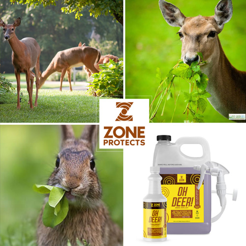 Zone Protects 15% Off - Mammoth Nation Members get great Discounts ...